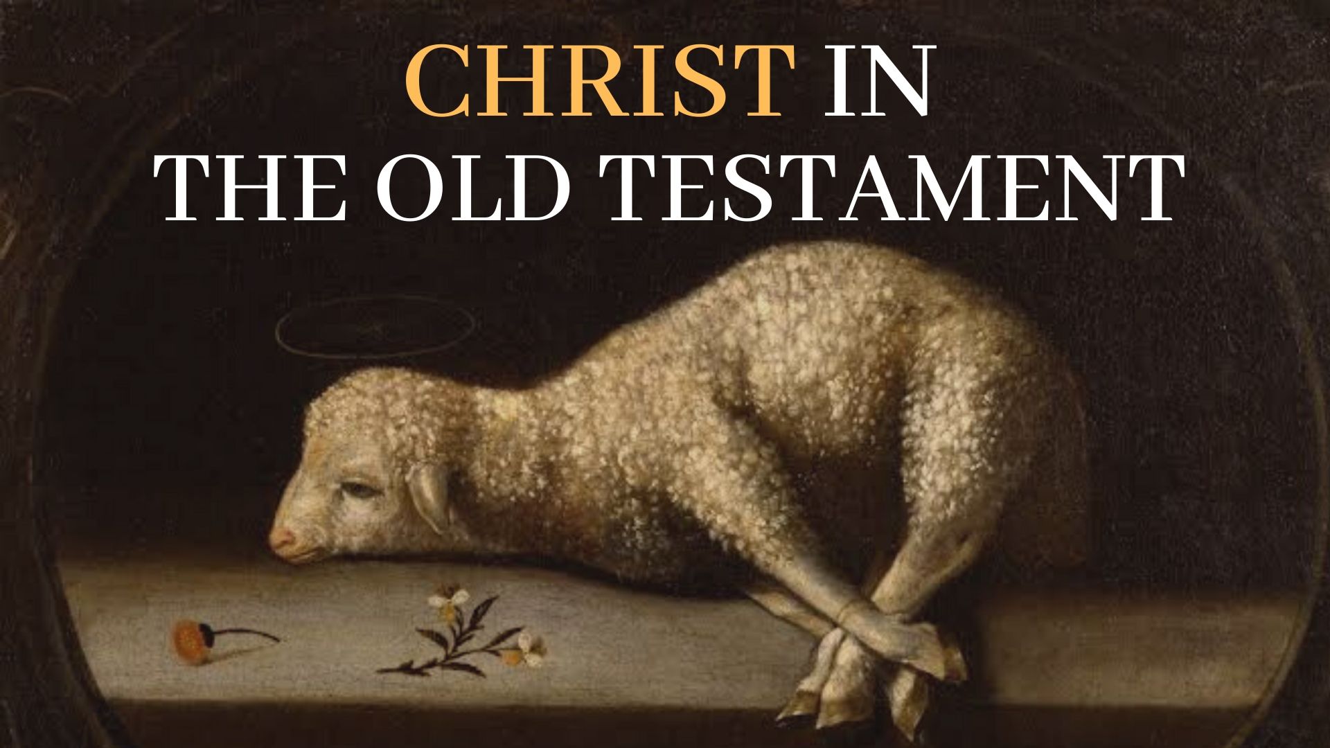 Old Testament Survey Class – Trinity Presbyterian Church